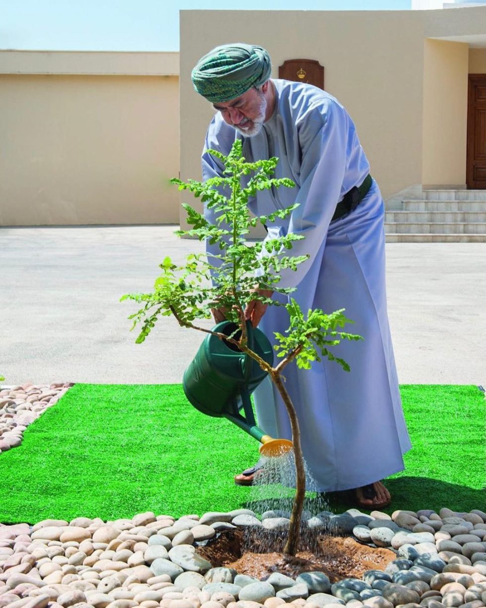 Oman Tree Day: A call to action for a greener Oman - Omanspire.om